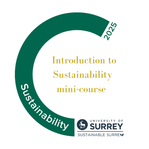 Introduction to Sustainability