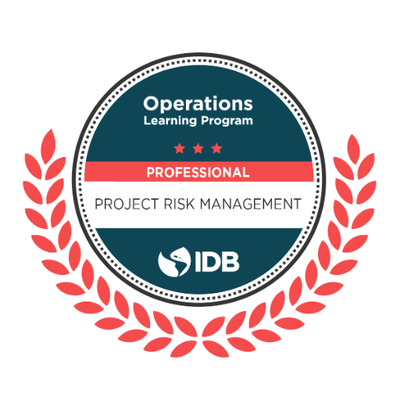 Professional Risk Management in Projects