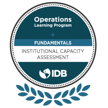 Institutional Capacity Assessment - Fundamentals