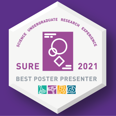 Best Scientific Poster Presenter SURE2021: Expert Judges Award