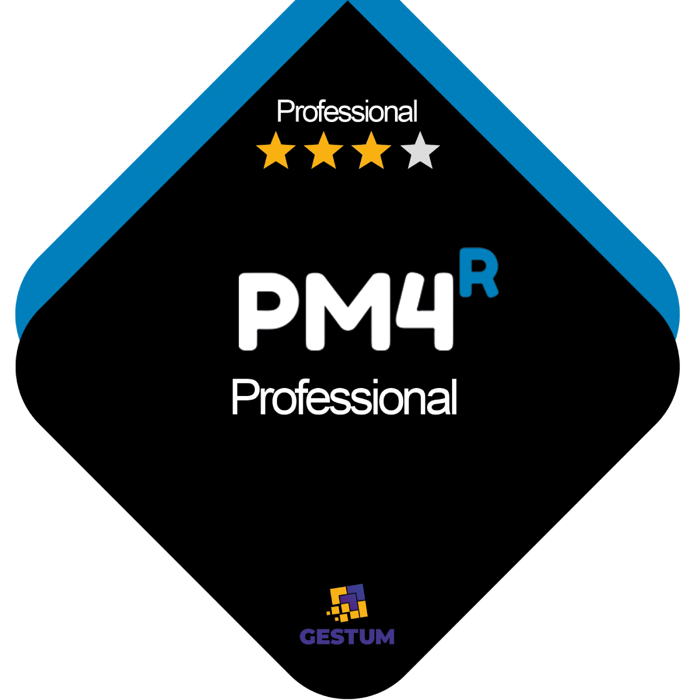 PM4R Professional (Gestum Total)