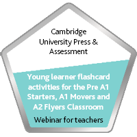 Flashcards aren't just to test vocabulary! Young learner flashcard ...