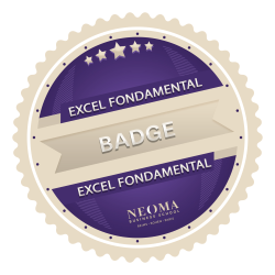 Badge EXCEL Fondamental