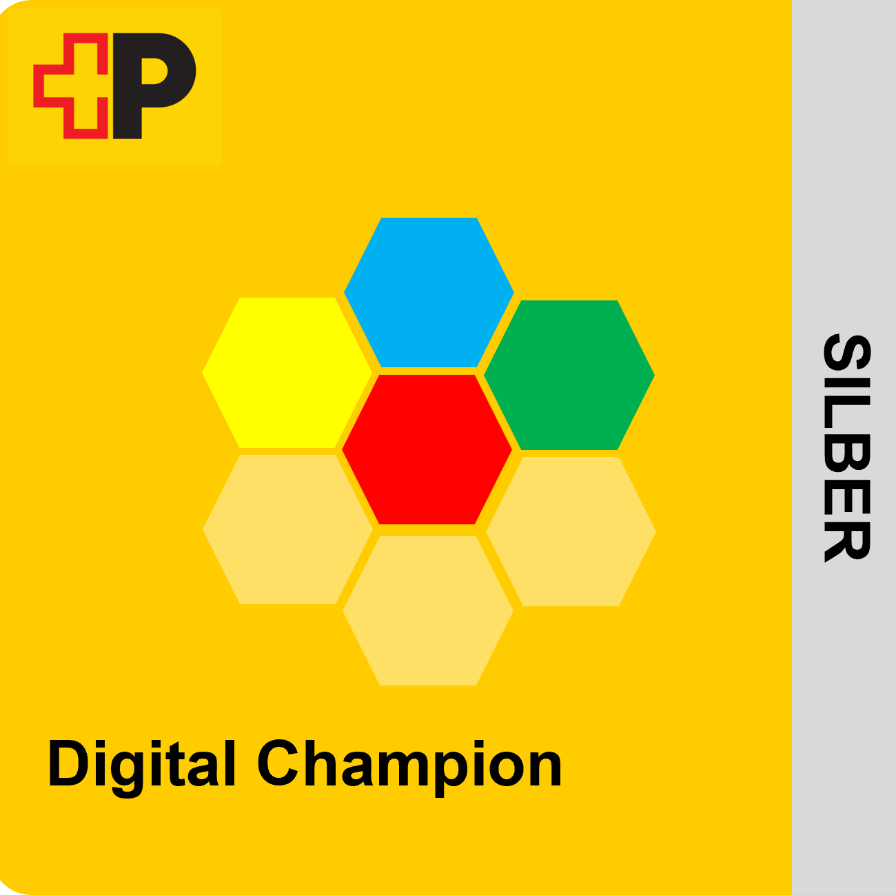 Digital Champion