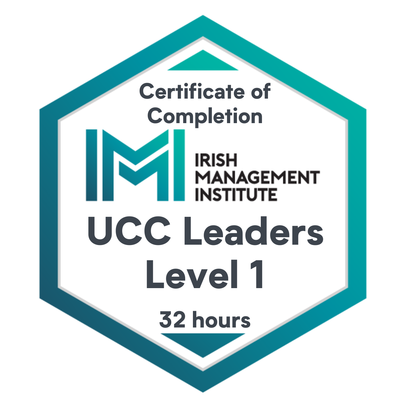 Completion of UCC Leaders Level 1 programme