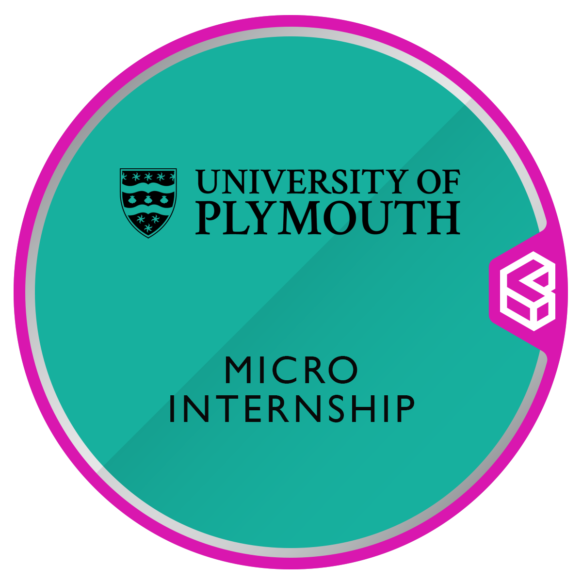 Micro Internship Programme